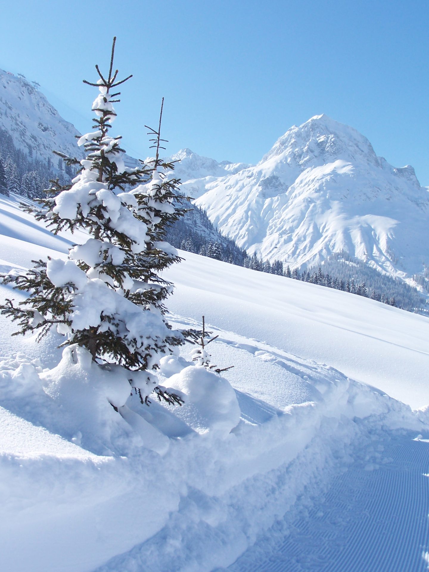 Night trains: environmental with hidden dangers