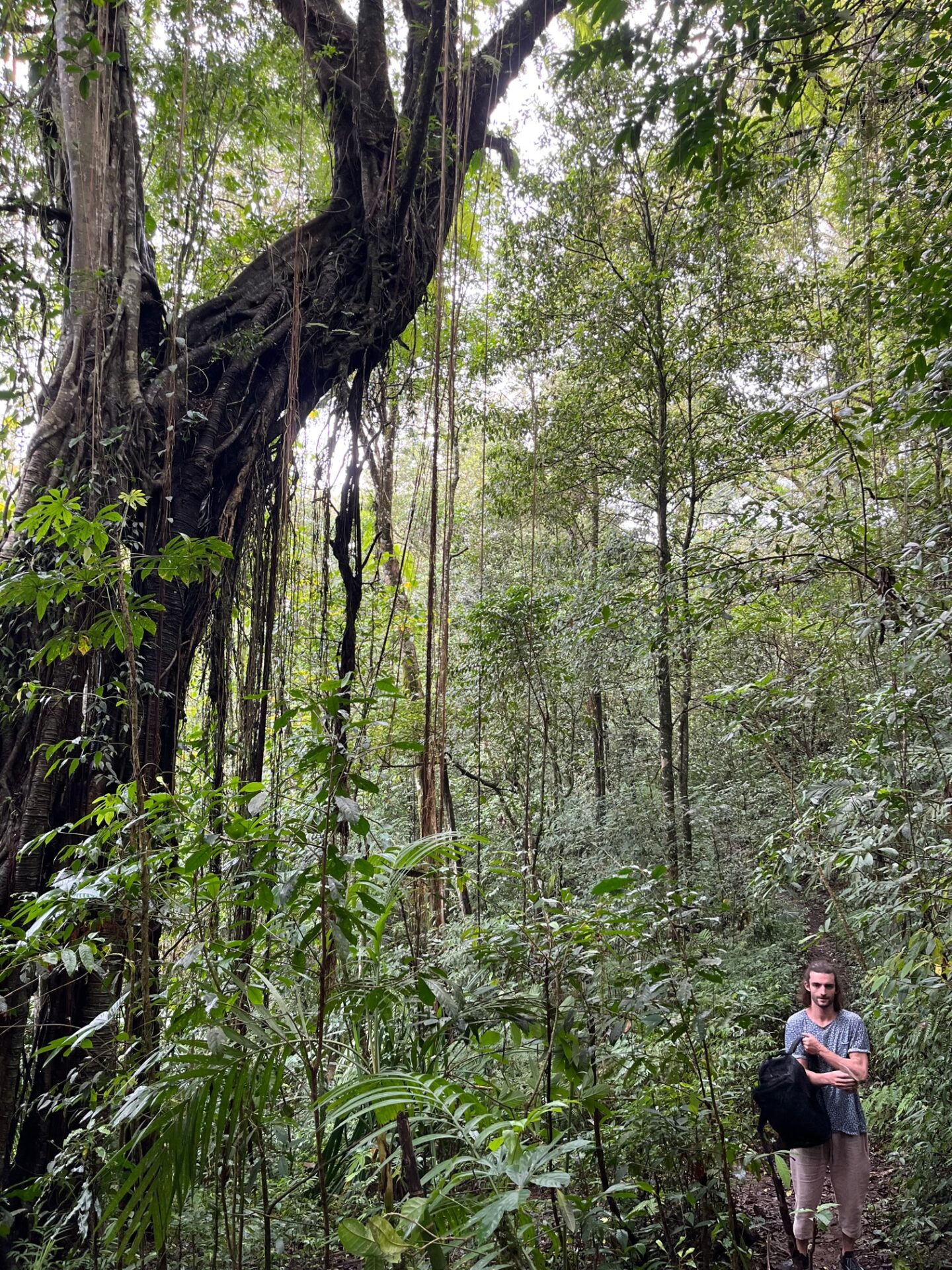 How to travel: adventures with leeches